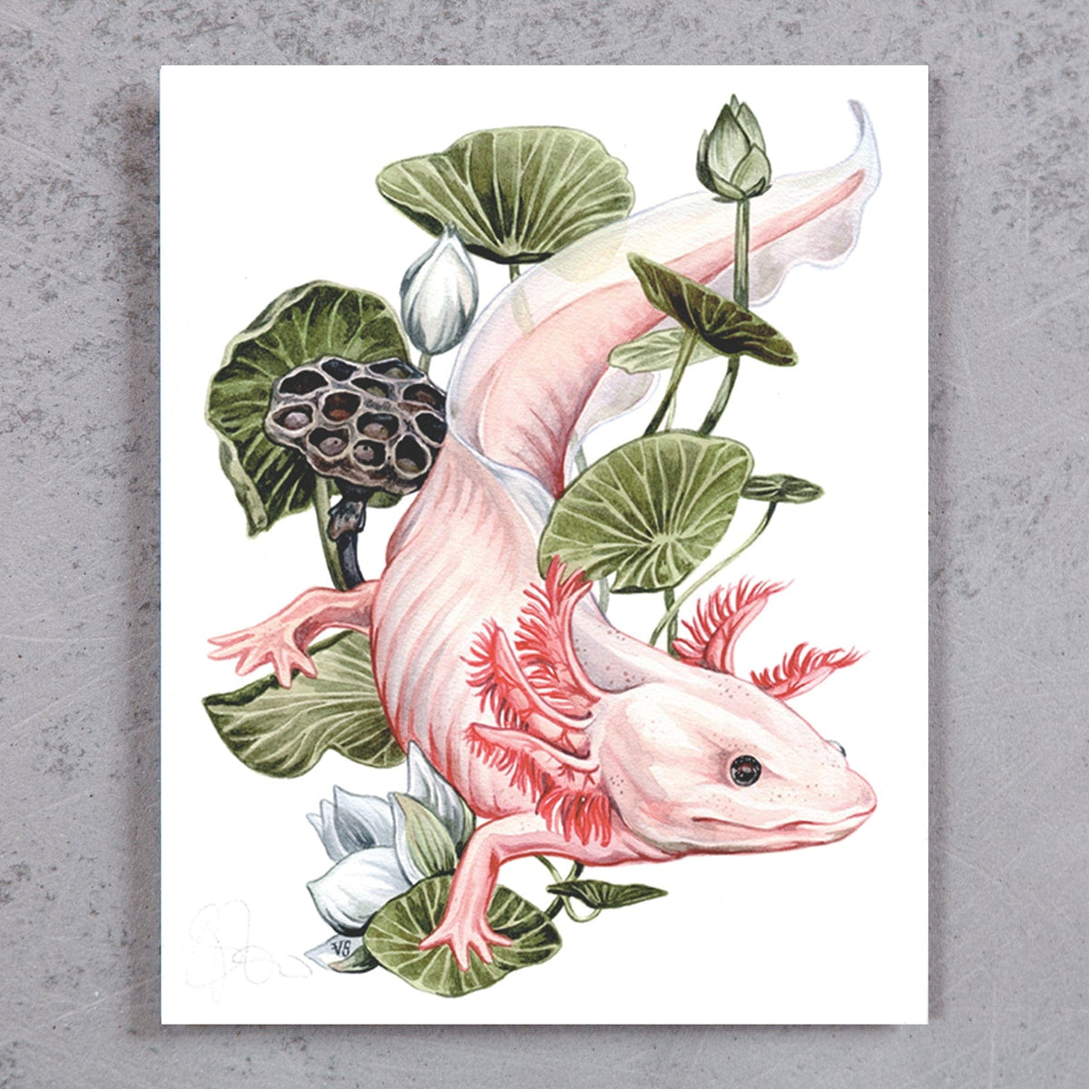 Axolotl + Lotus – thosewhobloom