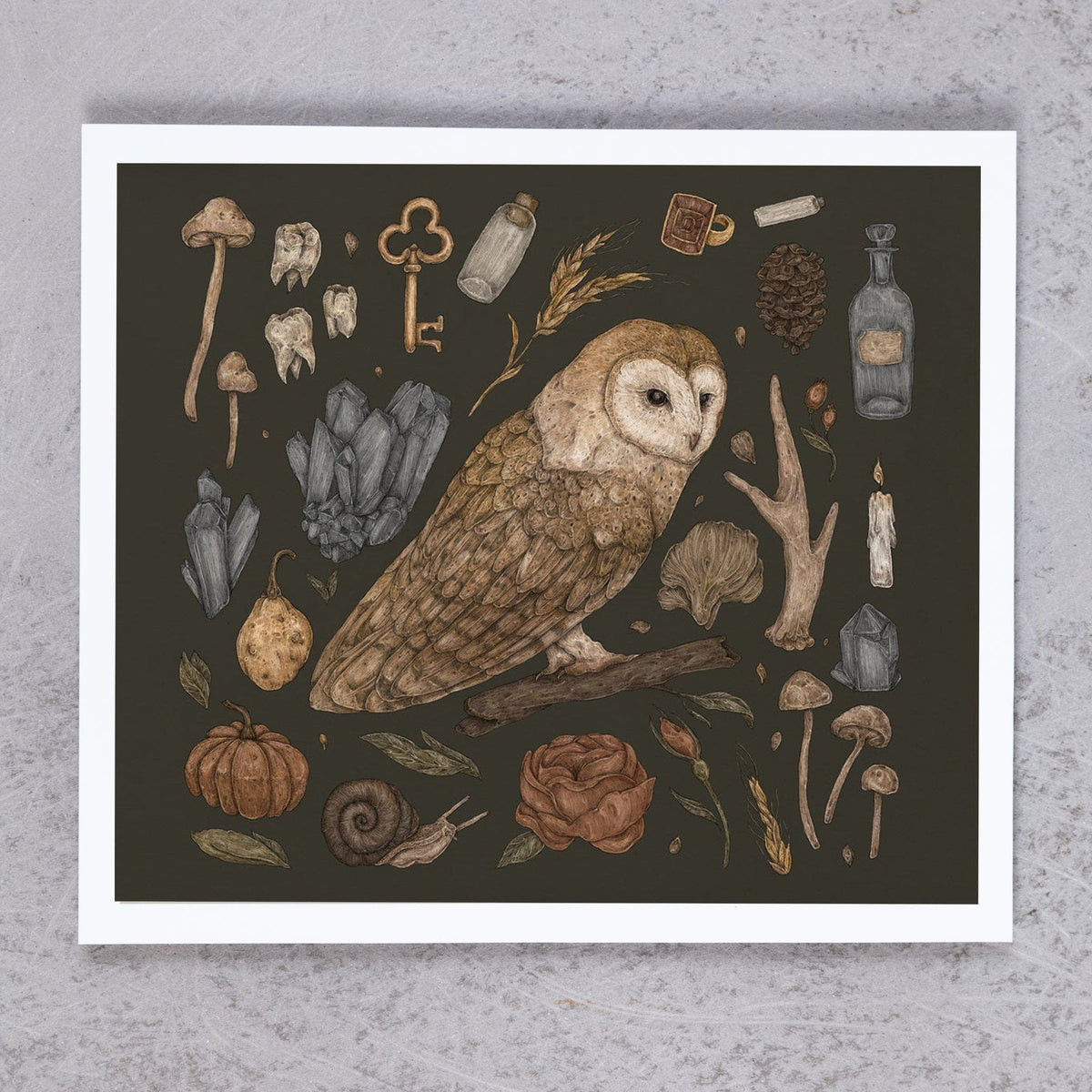 Harvest Owl – thosewhobloom