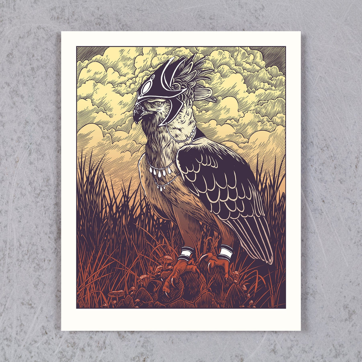 Royal Hawk – thosewhobloom